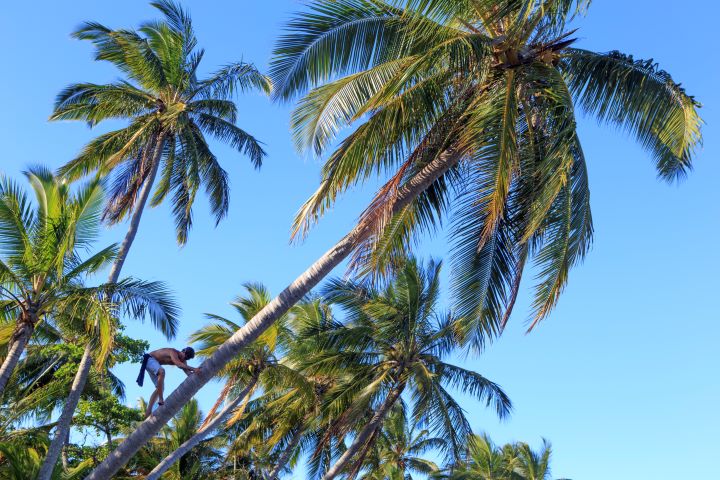 Family guide to far North Queensland