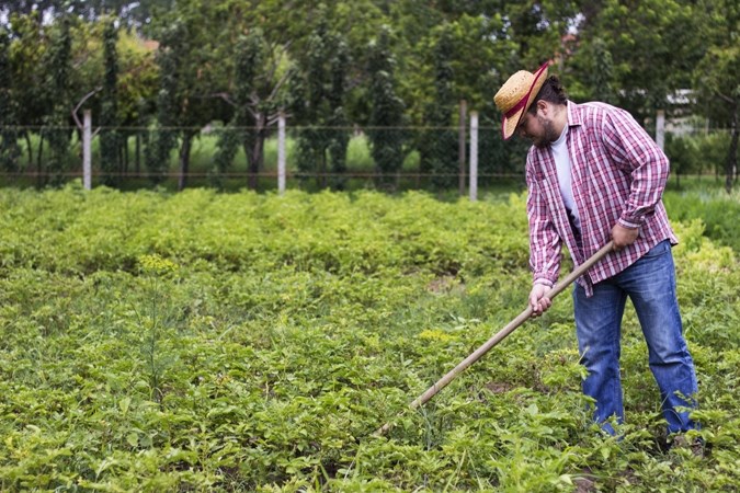 Top Tips for Working Holiday Makers | YHA Australia