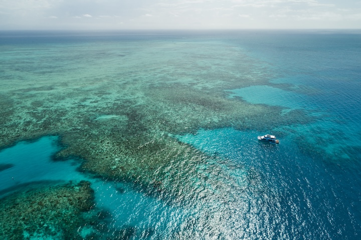 How to ethically visit and help protect the Great Barrier Reef