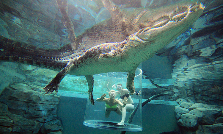 10 Best Experiences in the Northern Territory | YHA Australia