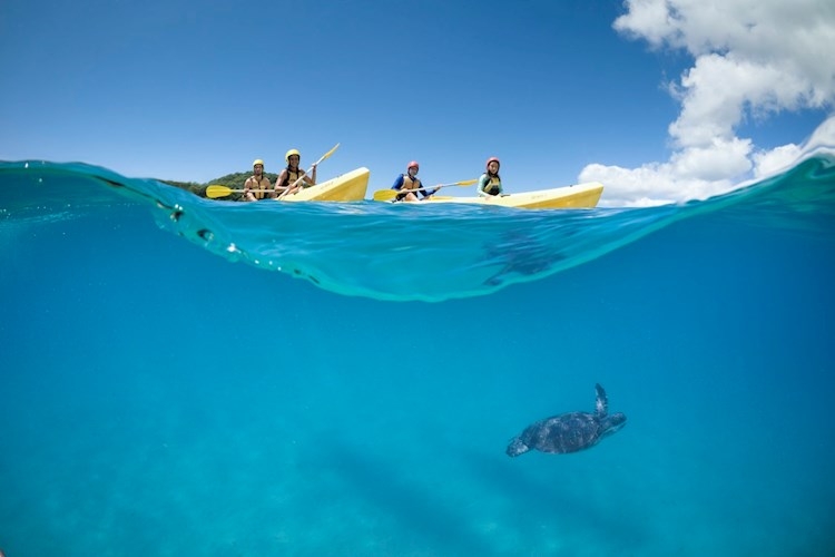 Byron Bay Dolphin Kayaking Tour | YHA Australia
